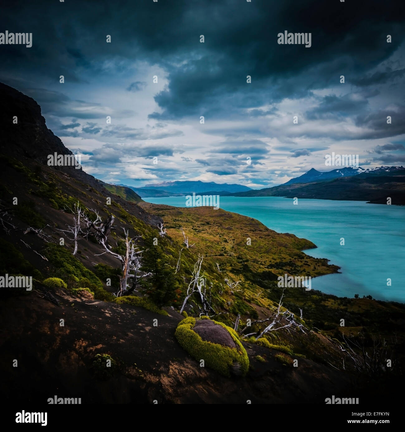 Patagonian Wilderness, Chile Stock Photo - Alamy