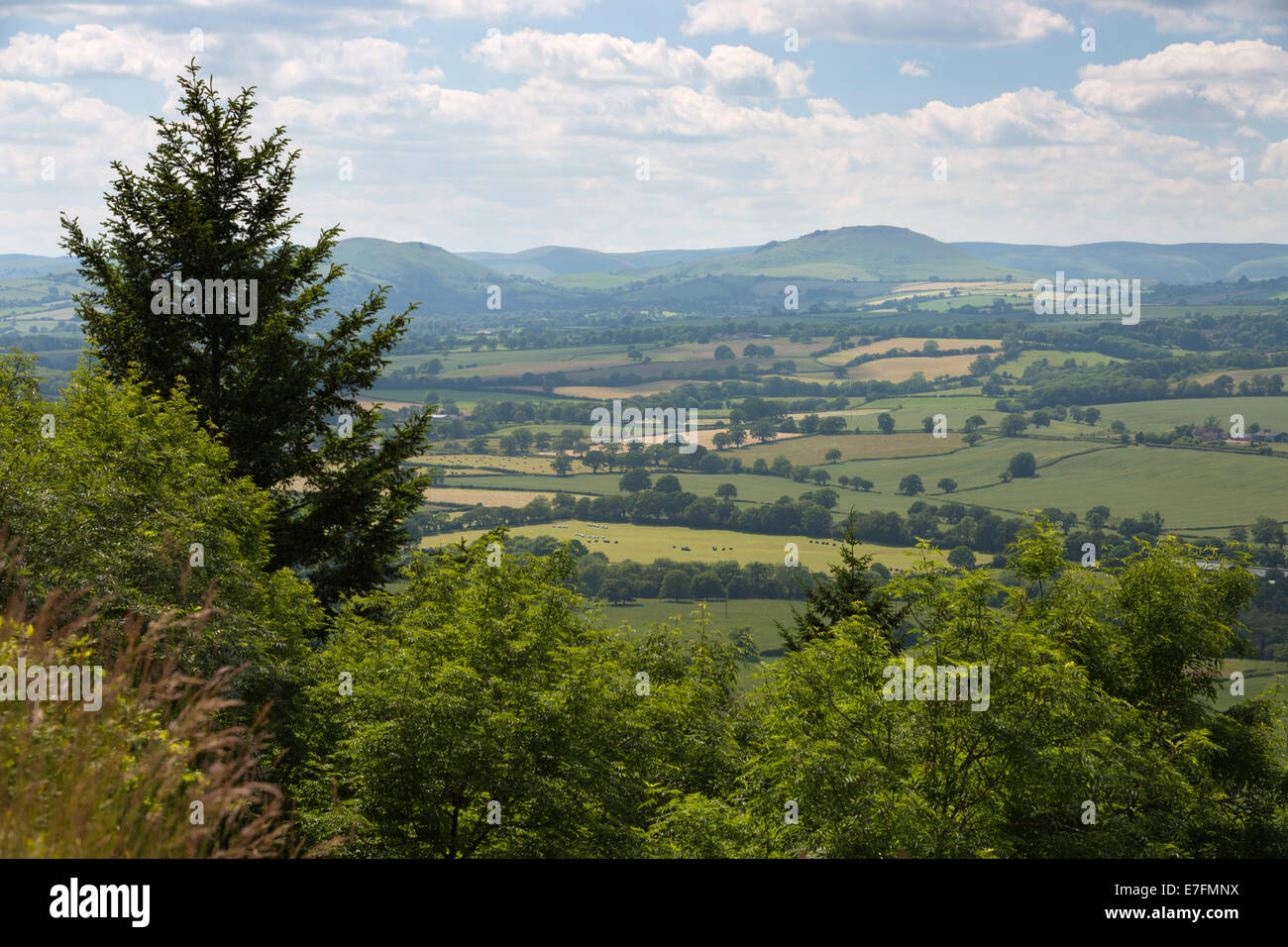 View of farmland from Wenlock Edge, near Much Wenlock, Shropshire ...
