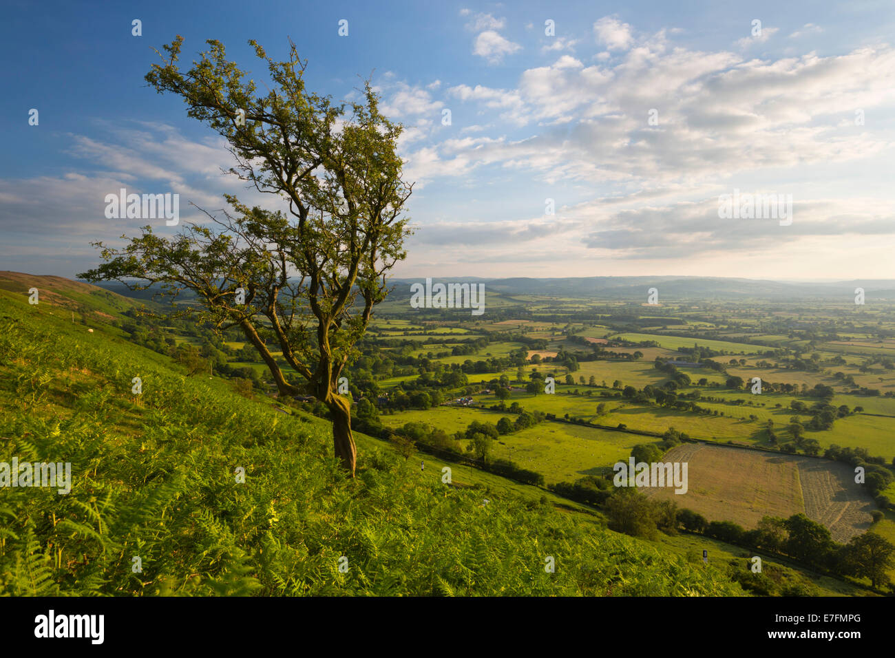 Long mynd shropshire england great hi-res stock photography and images ...