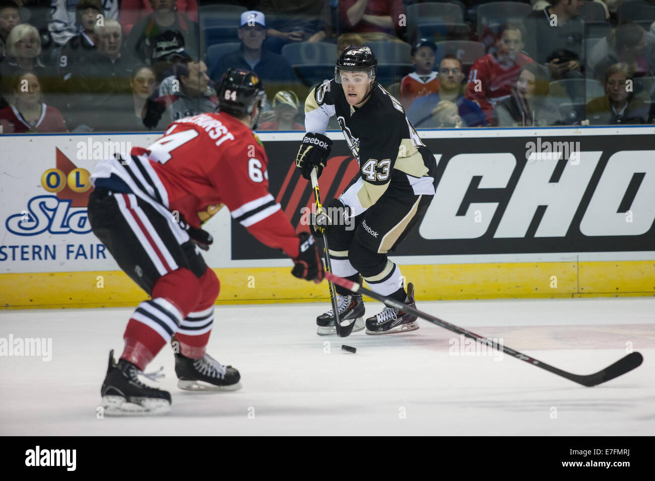 London, Ontario, Canada. September 14, 2014. Scott Wilson (43) of the ...