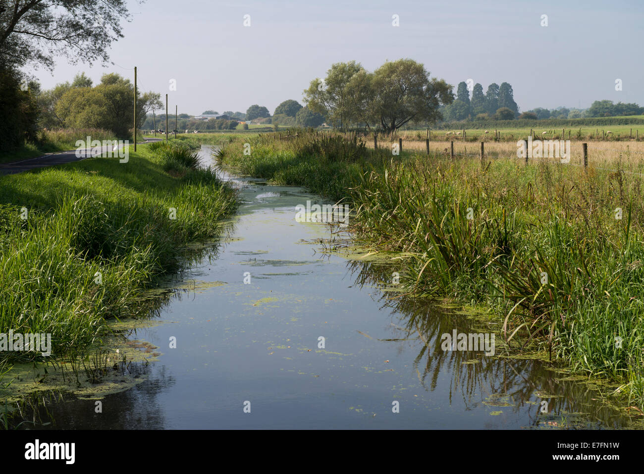 Reen hi-res stock photography and images - Alamy