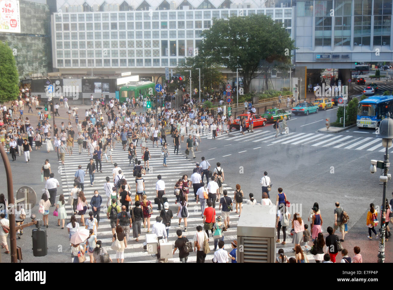 Shibuya crossing, Tokyo, Japan 2014 Stock Photo - Alamy