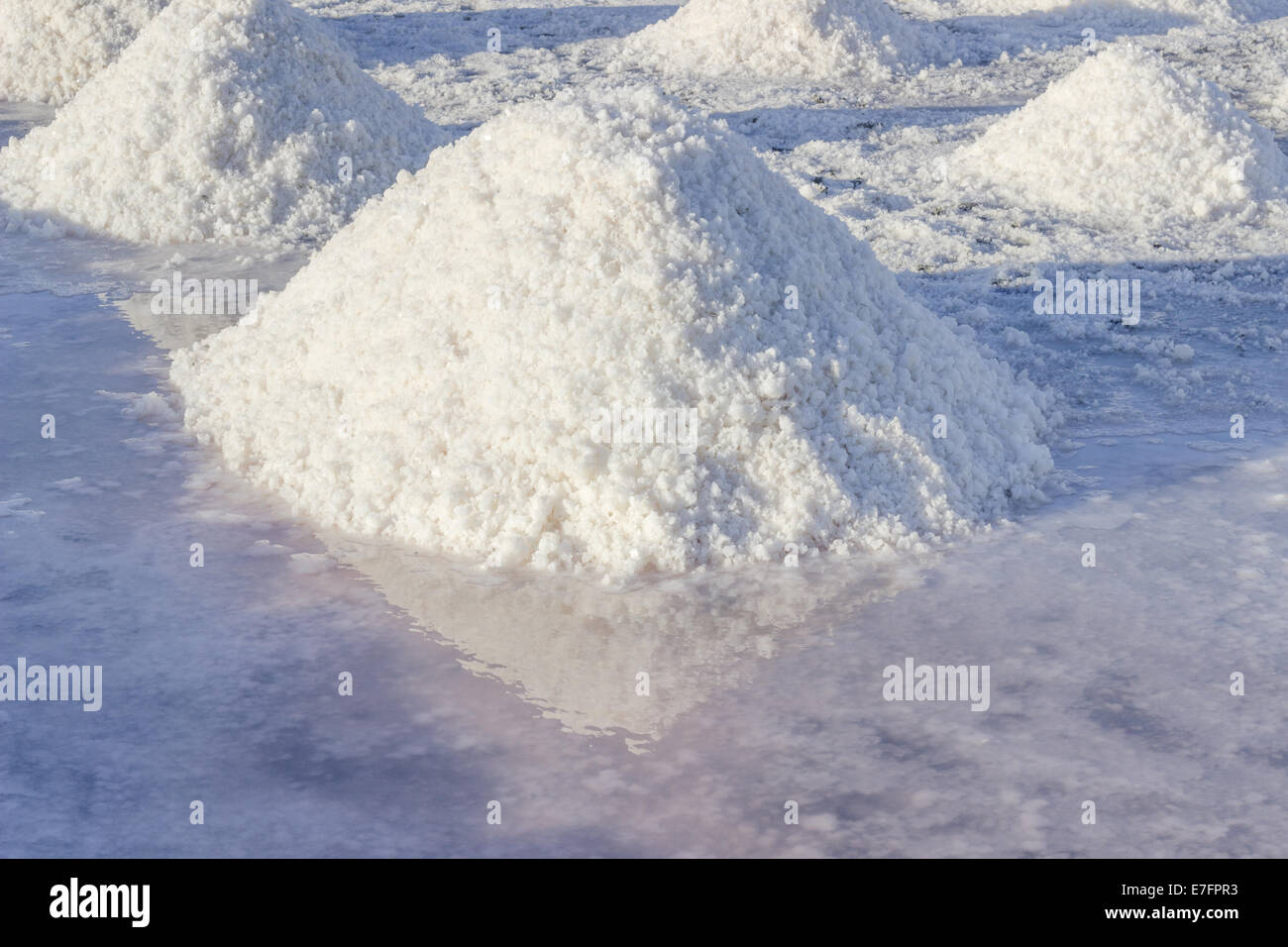 Salt marsh salt mound closeup hi-res stock photography and images - Alamy