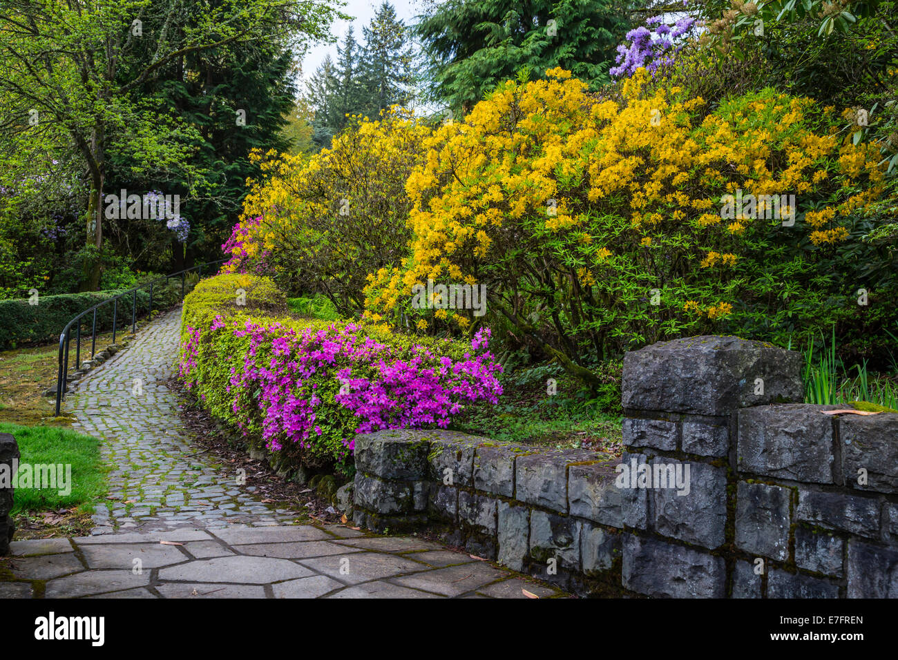 Spring flower displays and a walkway in Washington Park, Portland ...