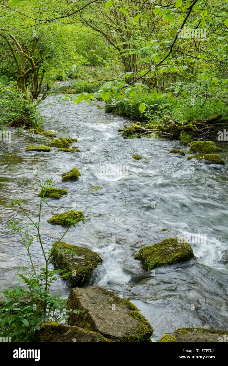 View of the River Lathkill, Lathkill dale, Peak District National Park ...