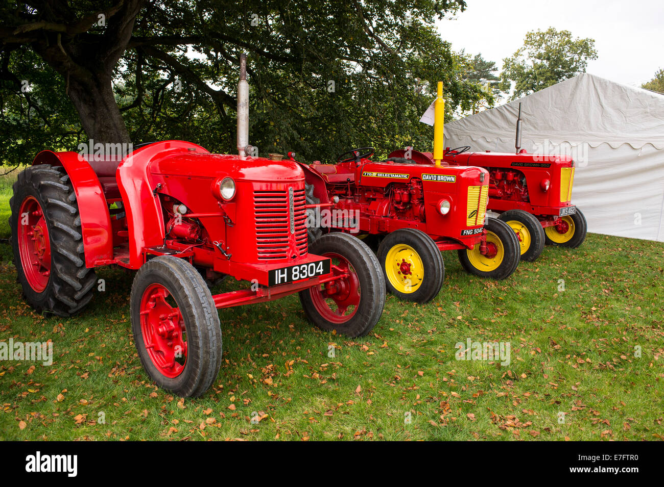 Vintage tractors on display at a Vintage Car and Tractor Festive in ...