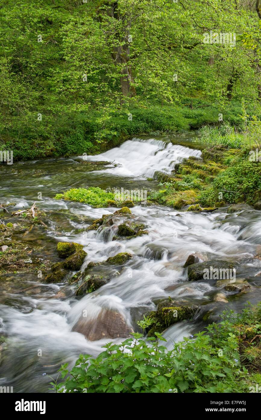 View of the River Lathkill, Lathkill dale, Peak District National Park ...