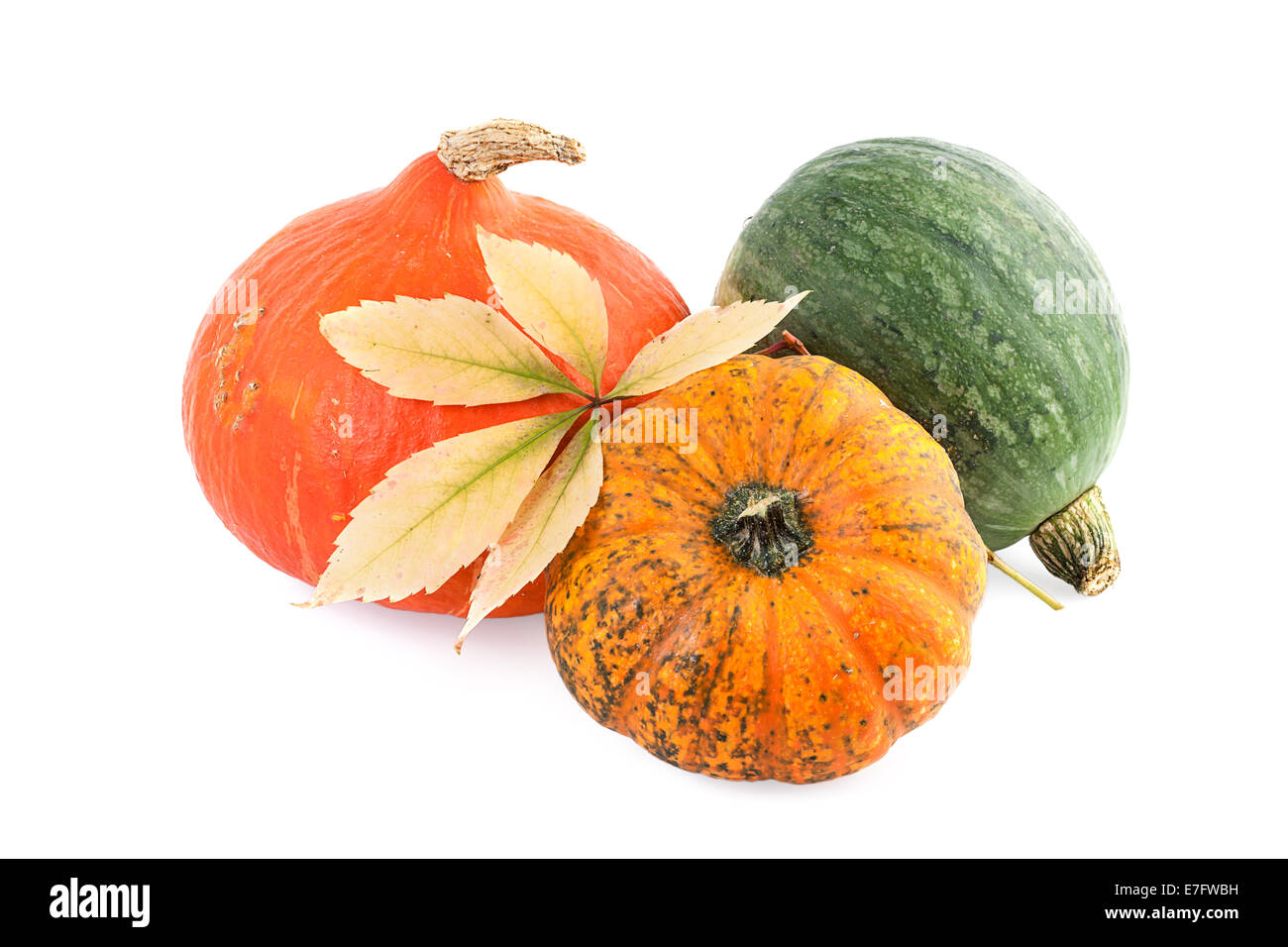 Pumpkin Autumn Concept Stock Photo - Alamy