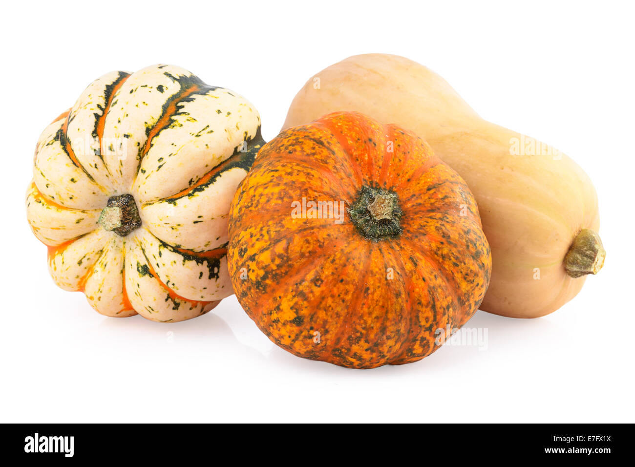 Pumpkin isolated on white Stock Photo - Alamy