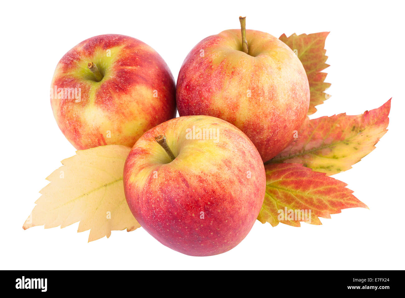 Autumn recipe ingredient Cut Out Stock Images & Pictures - Alamy