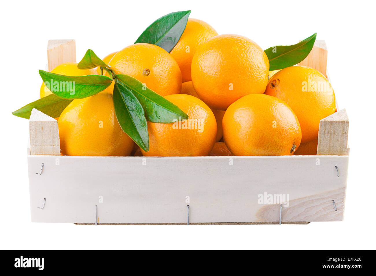 Ripe fresh orange in Cut Out Stock Images & Pictures - Alamy