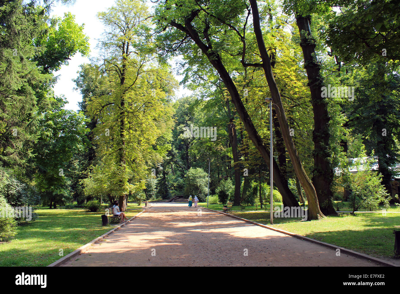 Beautiful city park with path and green trees Stock Photo - Alamy