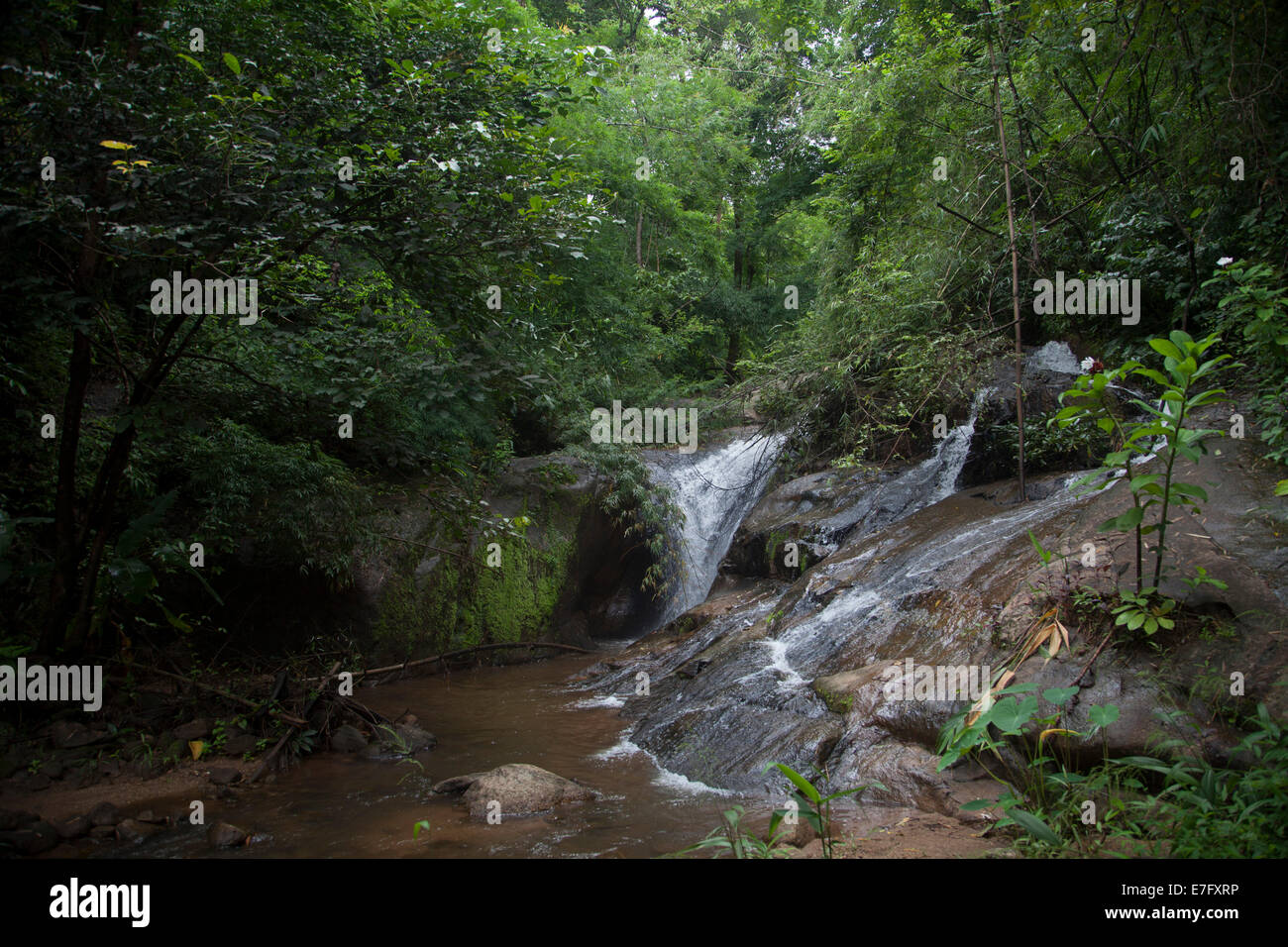 Waterfall life hi-res stock photography and images - Alamy