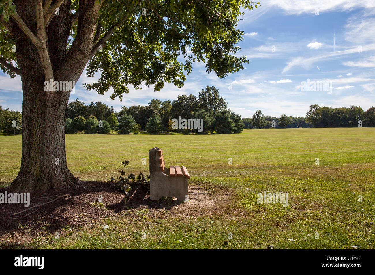Park bench under tree hi-res stock photography and images - Alamy