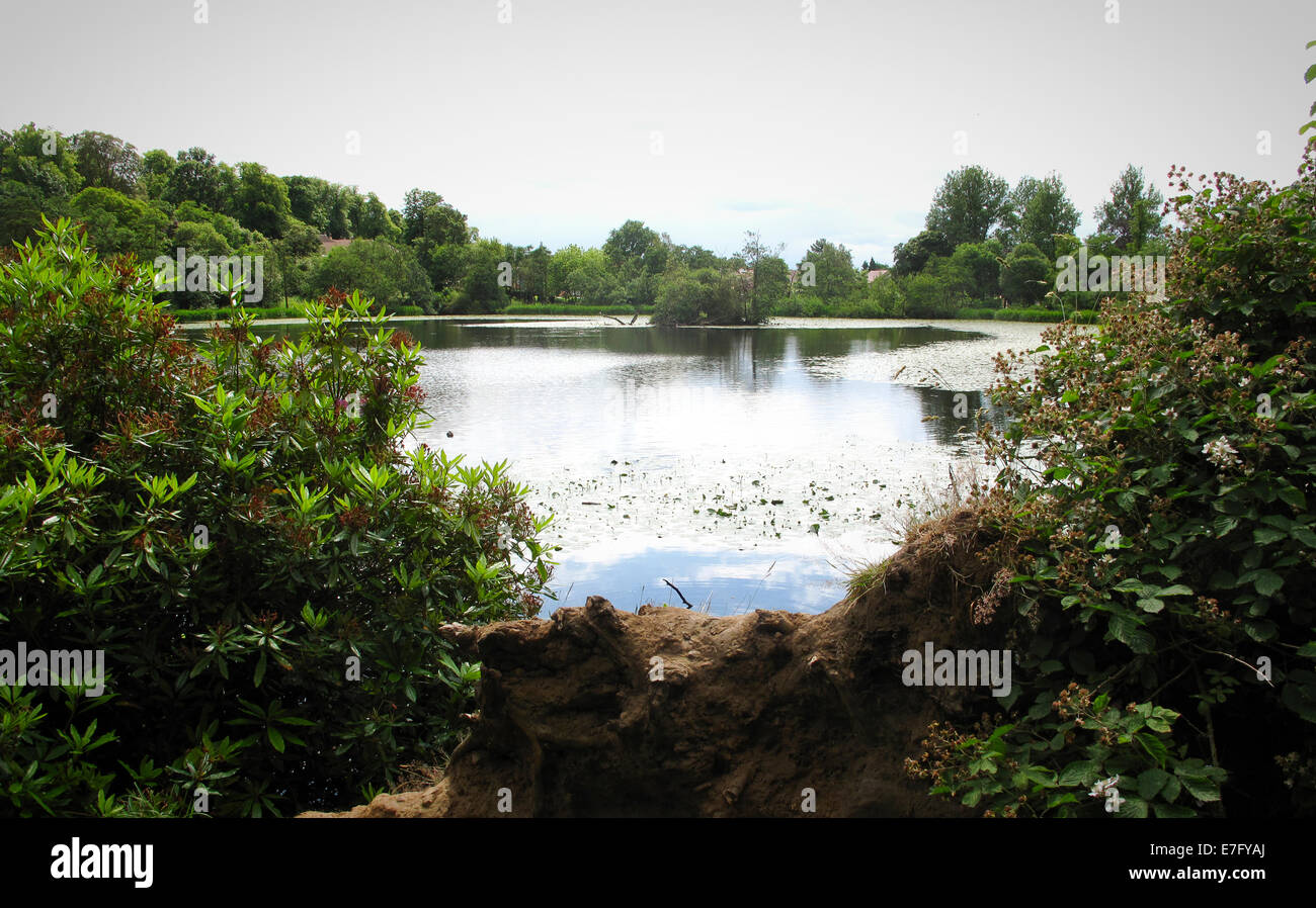 Bearsden loch hi-res stock photography and images - Alamy