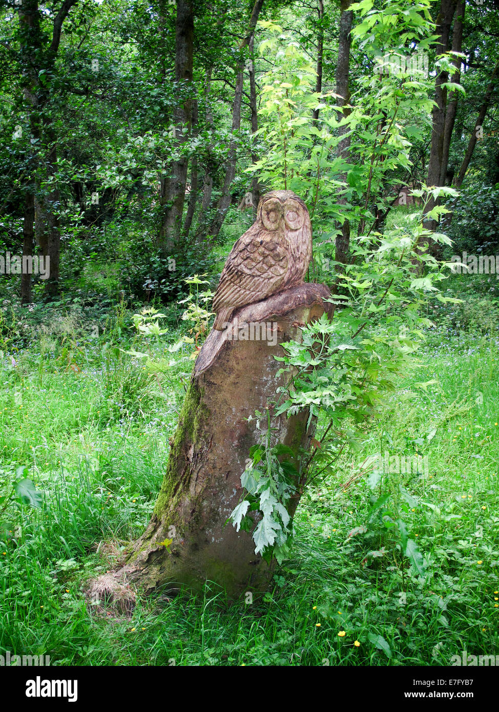 Chainsaw sculpture of owl on tree stump Stock Photo - Alamy