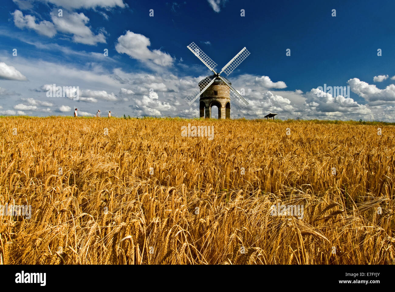 Windmill wheat field hi-res stock photography and images - Alamy