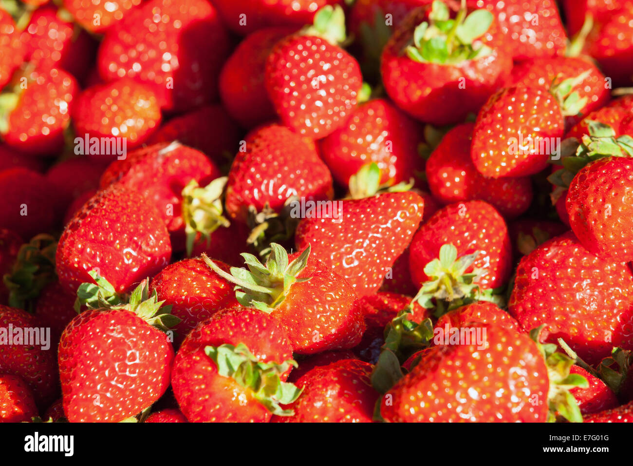 Fresh food counter hi-res stock photography and images - Alamy