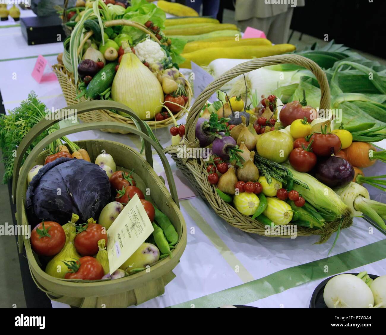 Giant vegetables hi-res stock photography and images - Alamy