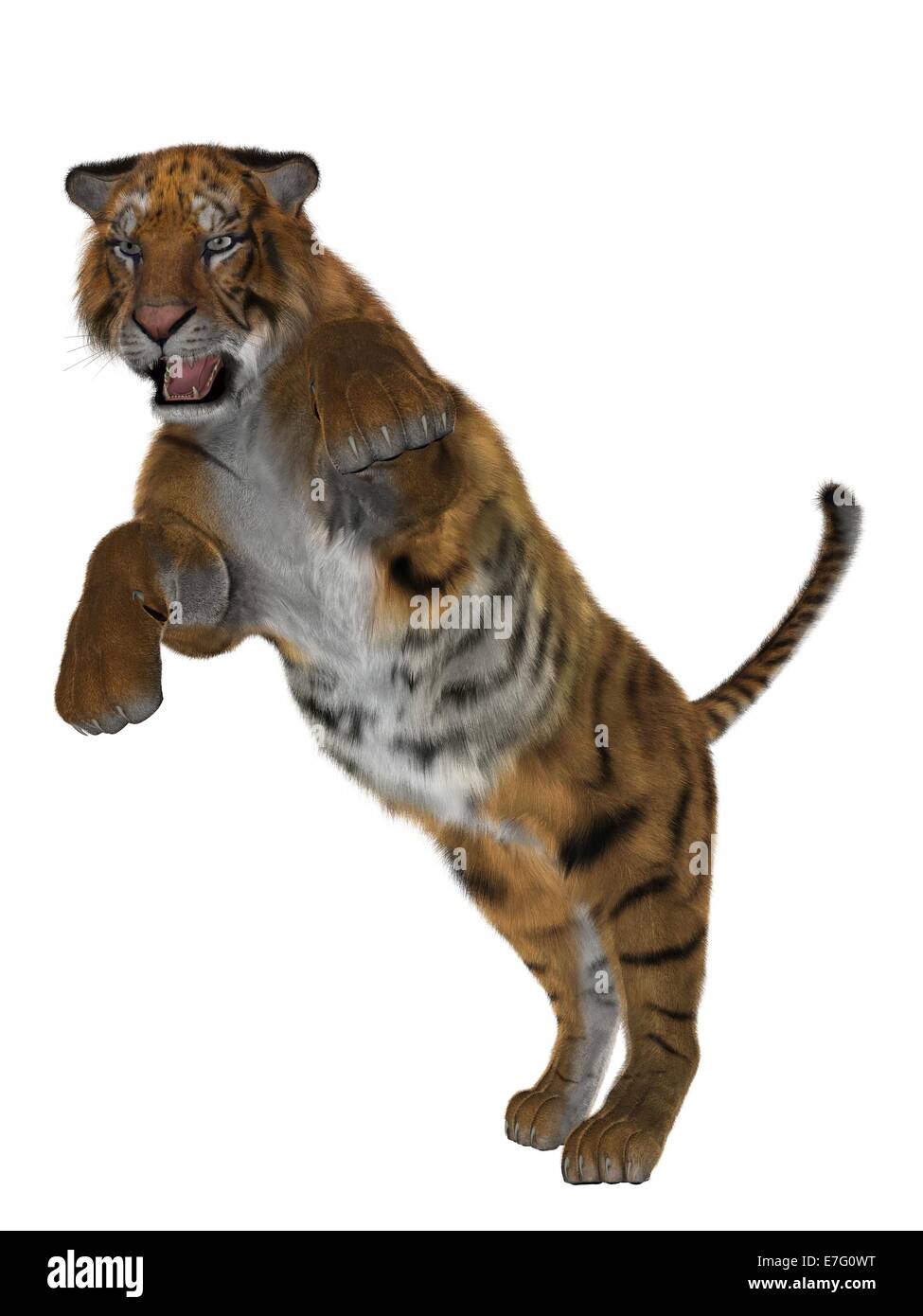 Rendered tiger illustration isolated on white Stock Photo - Alamy