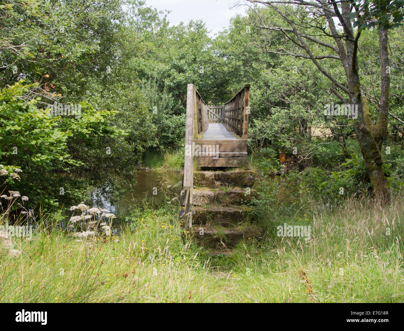 Old stone steps, that once formed part of a stone bridge, lead to a new ...