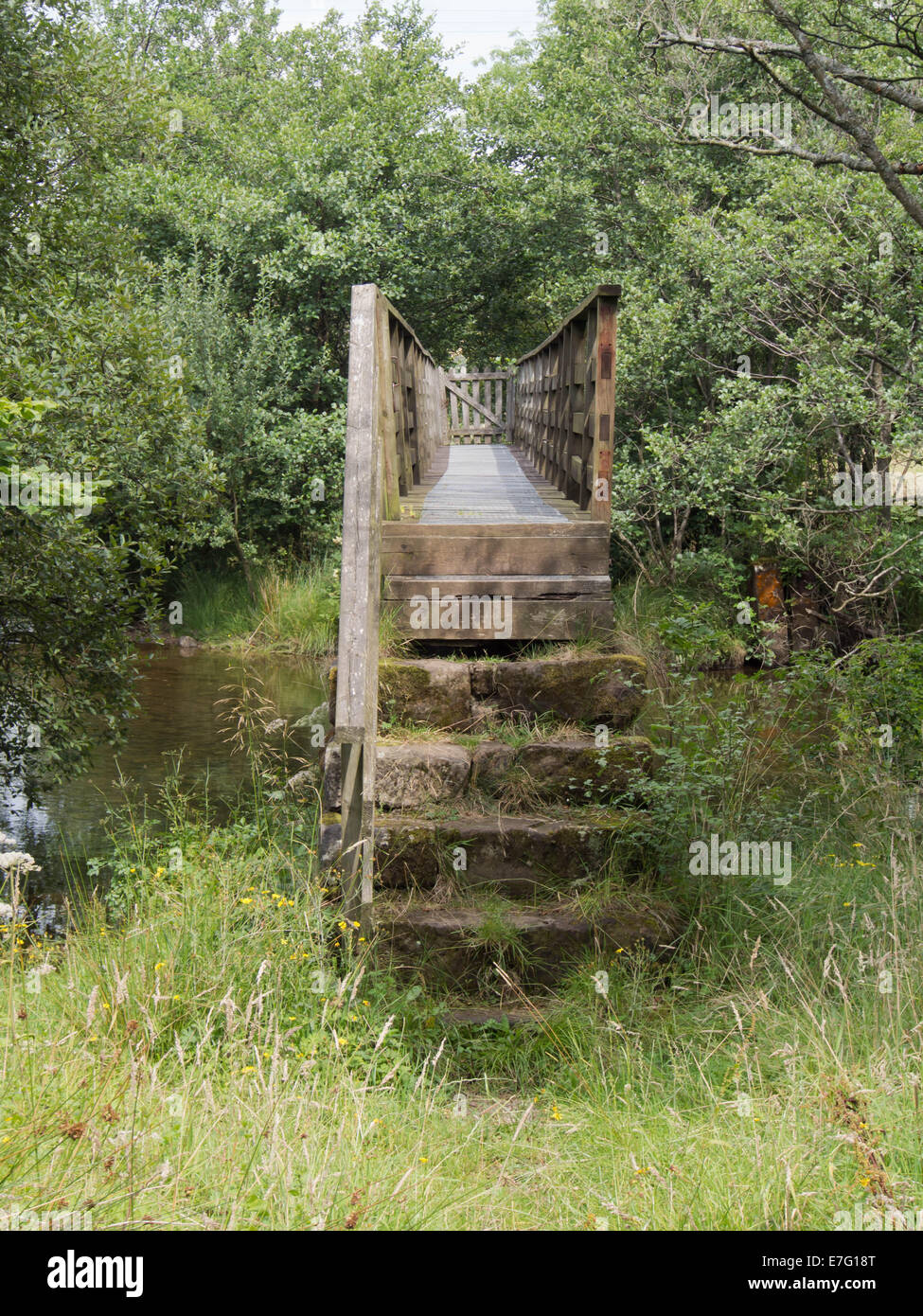 Old stone steps, that once formed part of a stone bridge, lead to a new ...