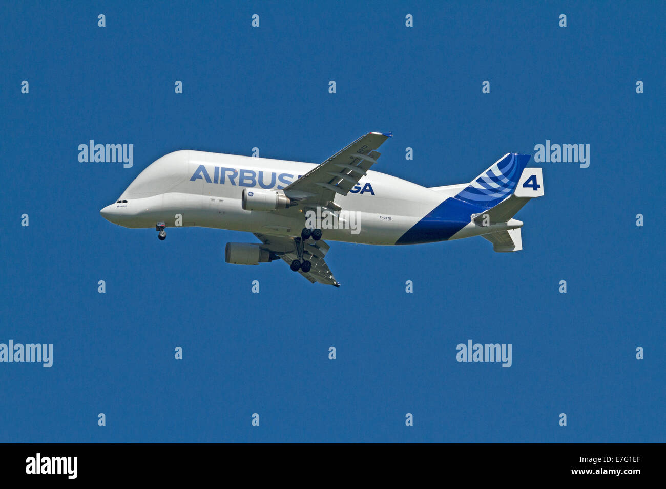 Huge Airbus Beluga A300-600ST super transporter cargo plane in flight ...