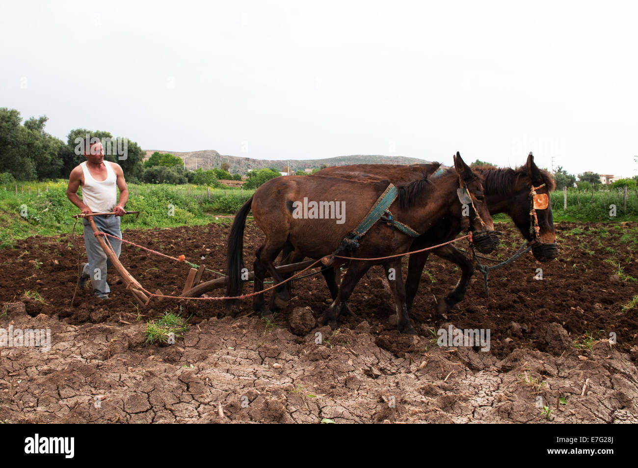 Plow the fields hi-res stock photography and images - Alamy