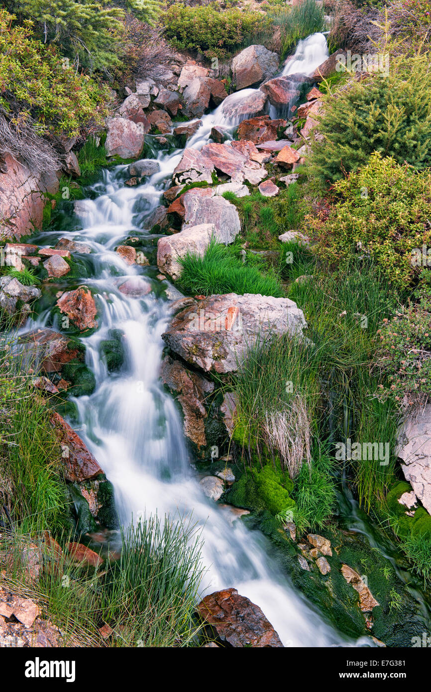 Stream with spring snow melt rushes off the flanks of Mt Lassen ...