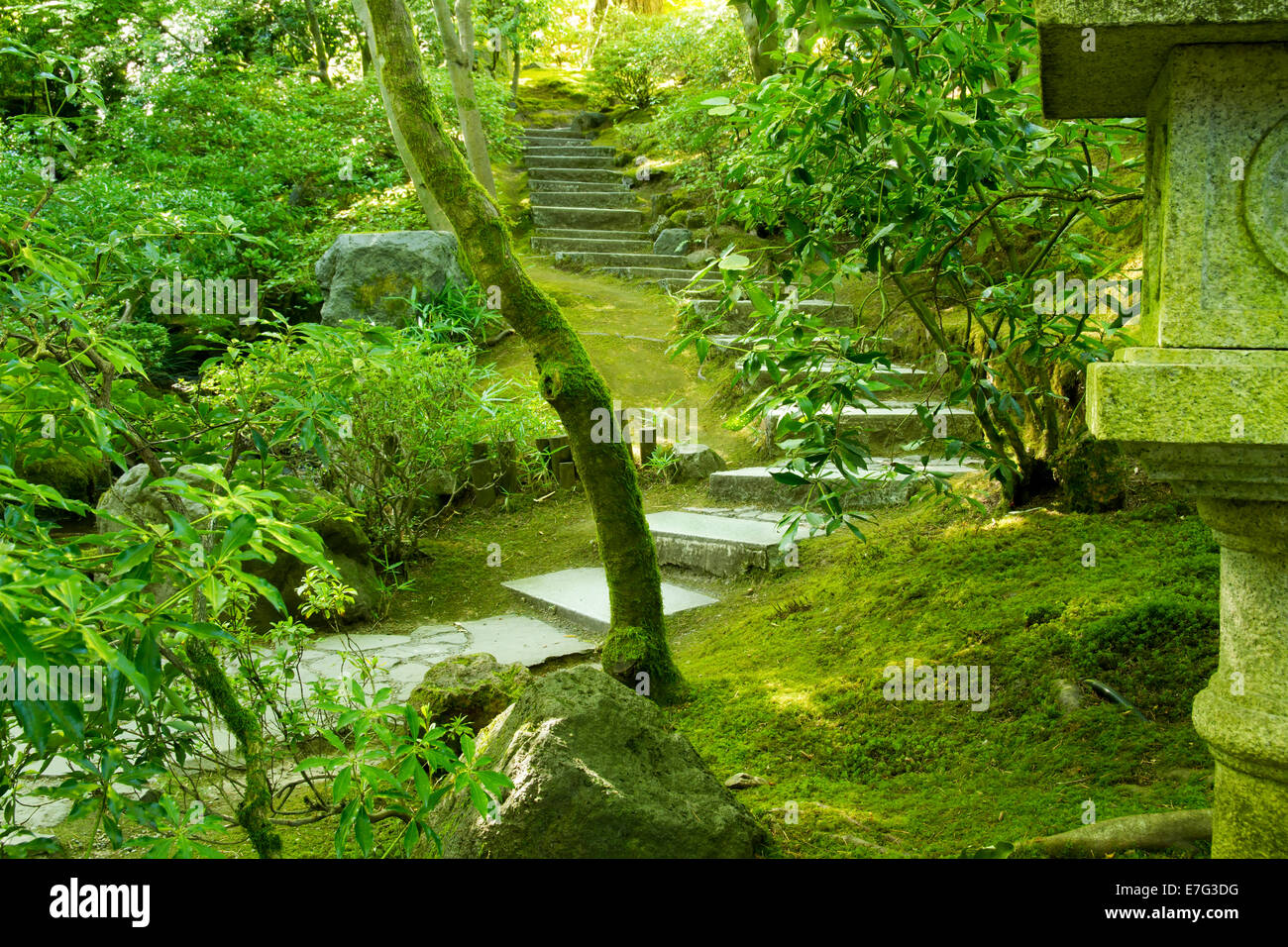 Winding steps through the Portland Oregon Japanese Natural Garden Stock ...