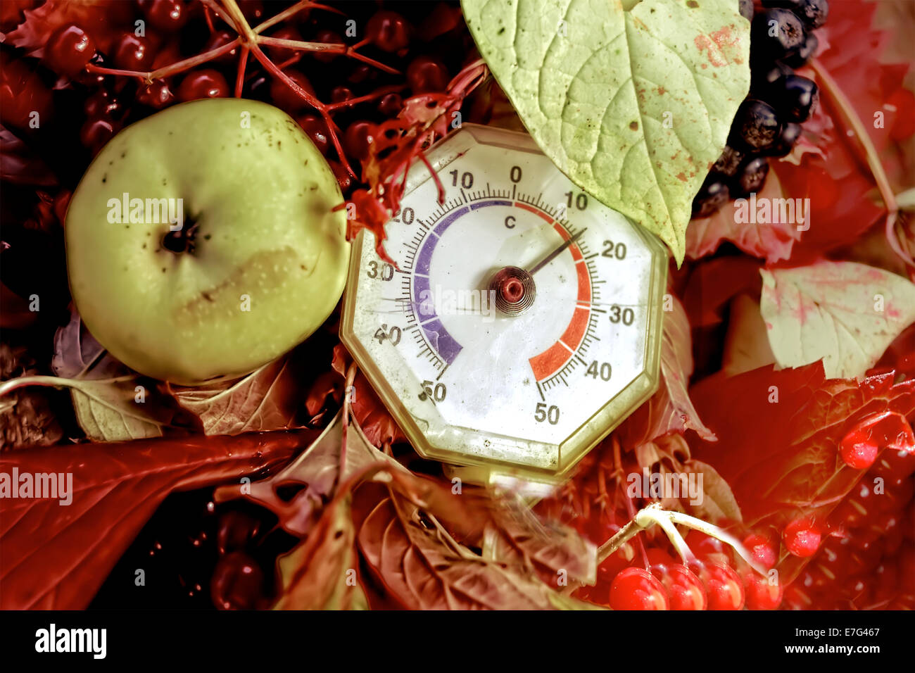 Old thermometer hi-res stock photography and images - Alamy