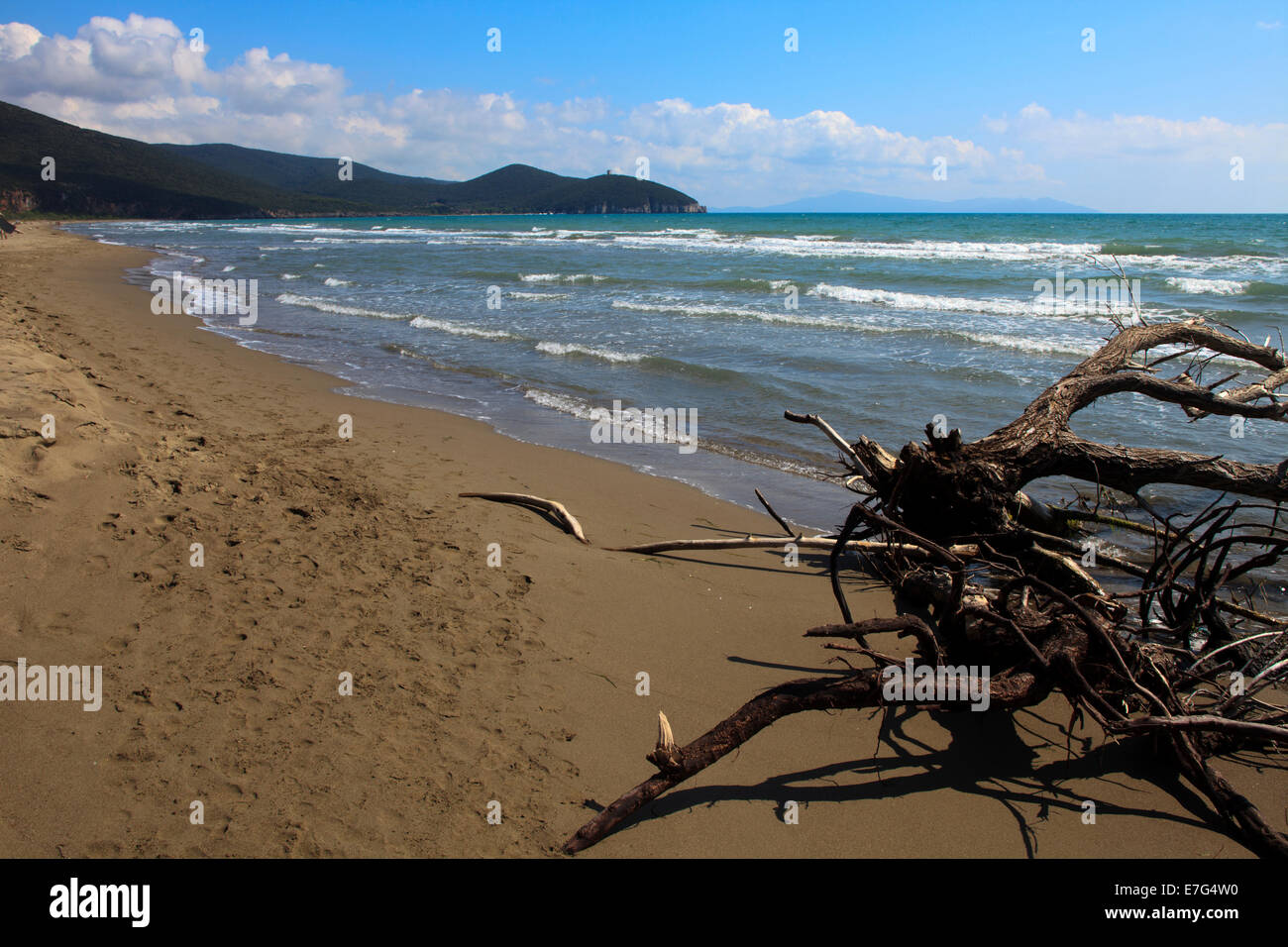 Alberese Beach High Resolution Stock Photography and Images - Alamy