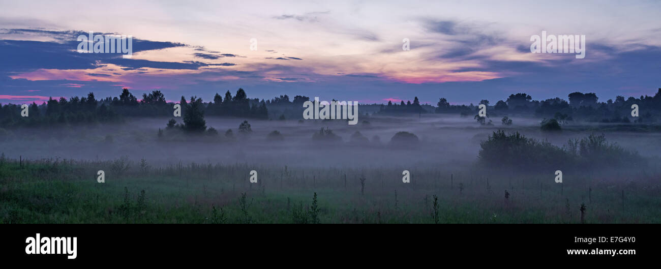 Evening foggy field panorama Stock Photo - Alamy