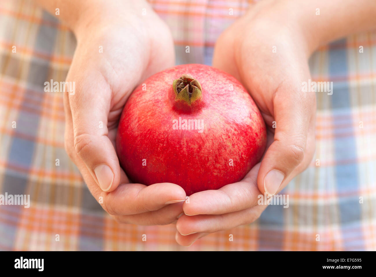 Pomegranate in woman's hands Stock Photo - Alamy