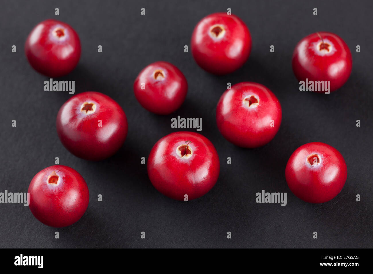 Black cranberry hi-res stock photography and images - Alamy