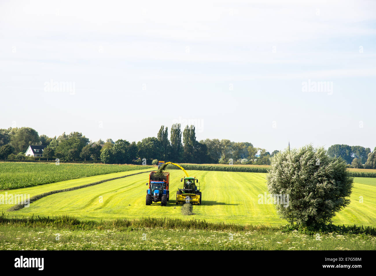 farmer harvesting with a tractor Stock Photo - Alamy