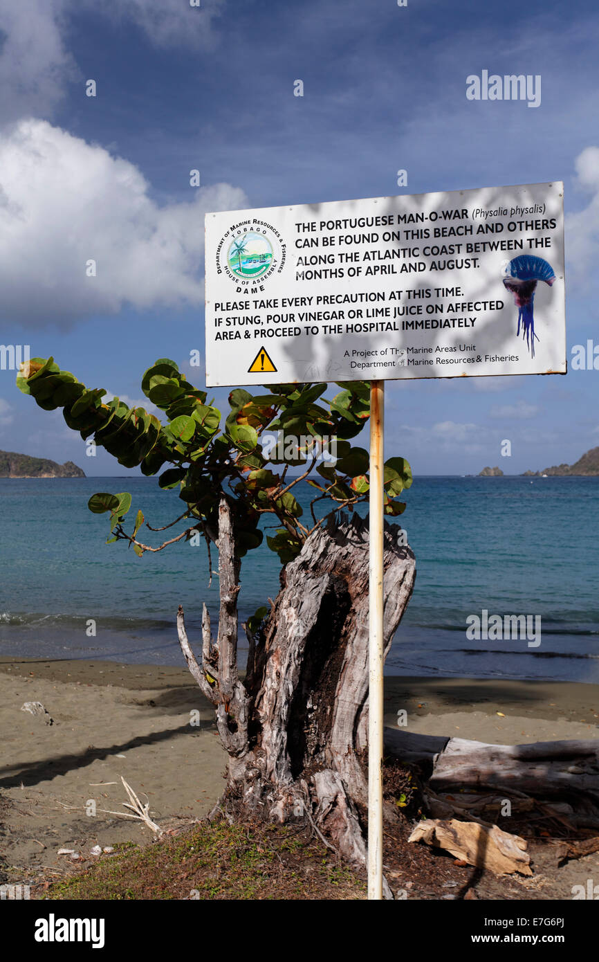 Warning sign on the beach, warning of Portuguese Man O'War (Physalia ...