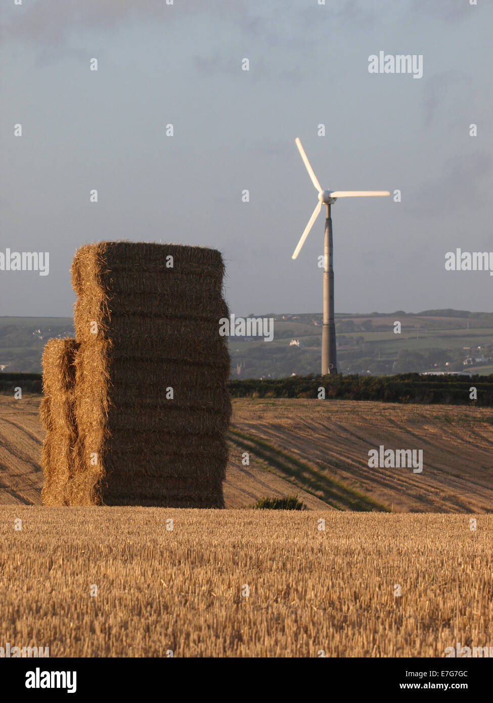 Stack of hay bales with a wind turbine behind, Widemouth Bay, Bude ...