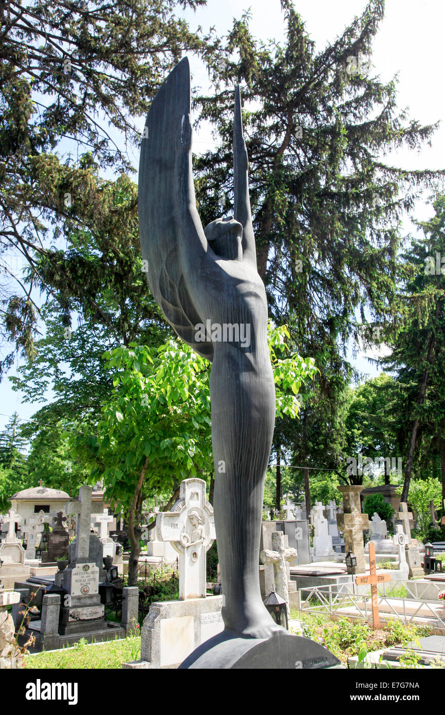 Bellu cemetery hi-res stock photography and images - Alamy