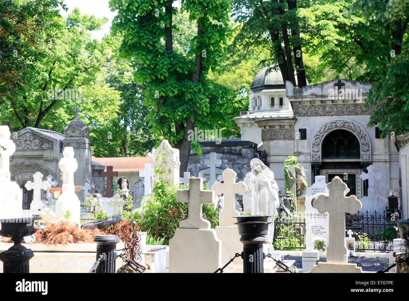 Bellu Cemetery, Bucharest, Romania Stock Photo - Alamy
