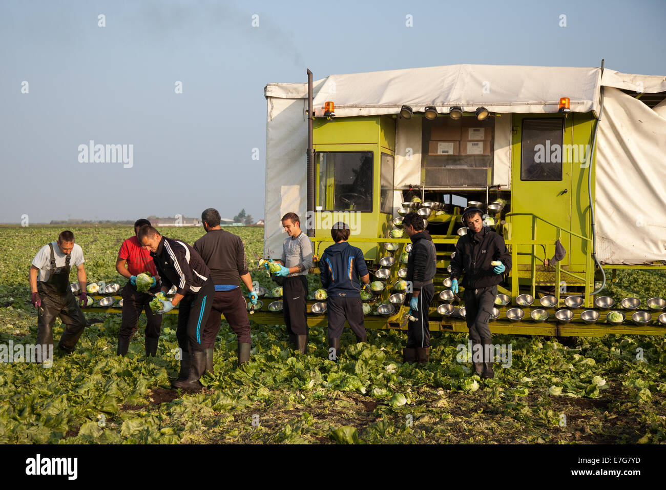 Agricultural labourer england history hi-res stock photography and ...