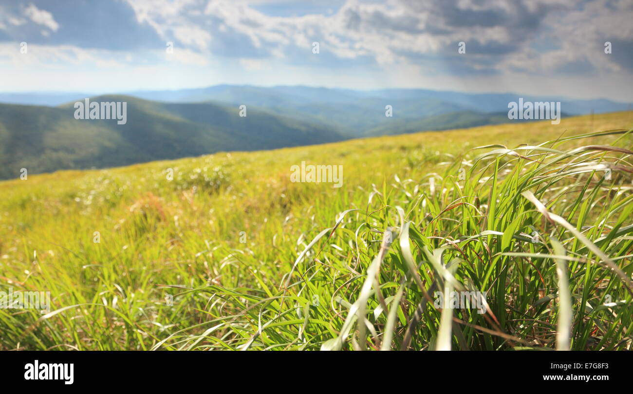 Nature and environment. Fields and hills. Mountain landscape in the ...