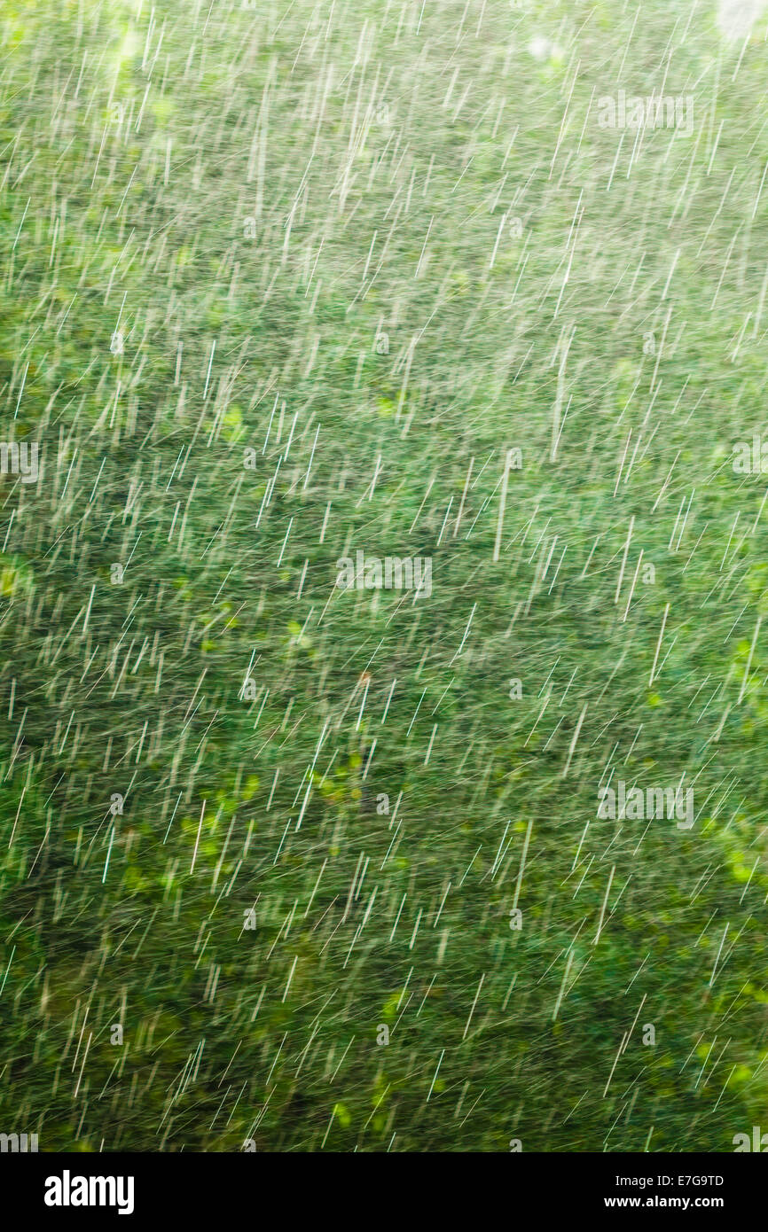 Summer rainy outside window, water drops droplets raindrops on glass windowpane as background ...