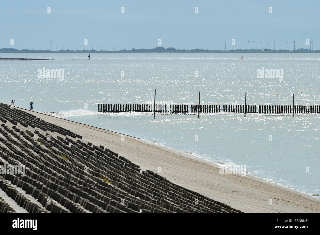 Concrete revetment and wooden groyne in sea water, 19 August 2013 Stock ...