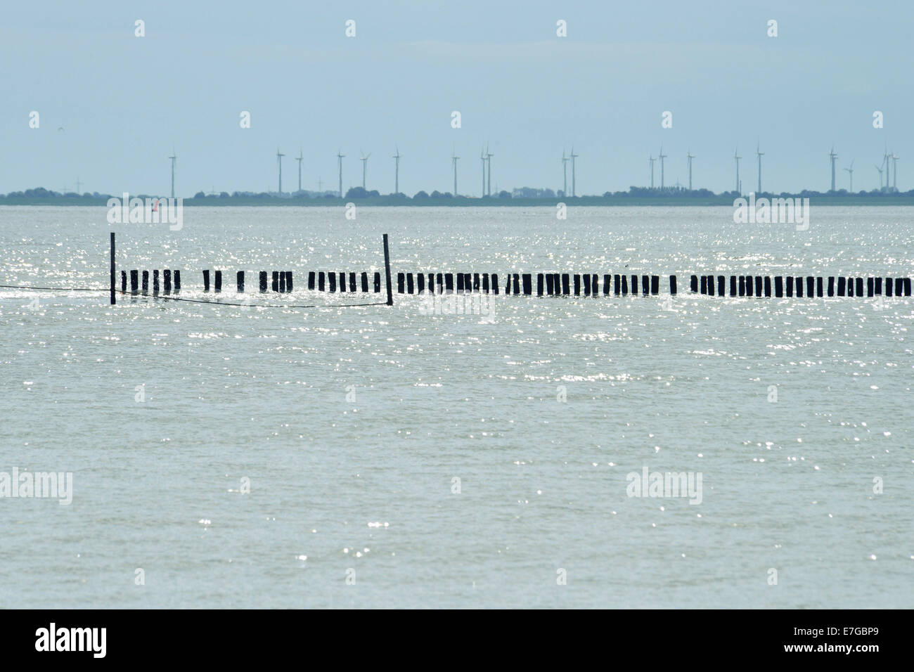 Wooden groyne in the shallow water near Wangerooge, the mainland with ...