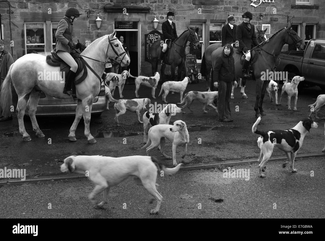 Banned fox hunting Black and White Stock Photos & Images - Alamy