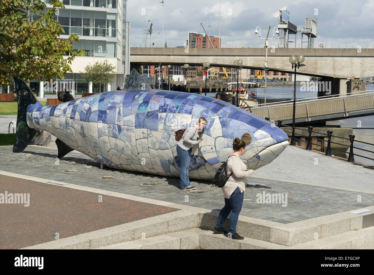 The Blue Fish on Belfast's new waterfront, 12.8.2014 Stock Photo - Alamy
