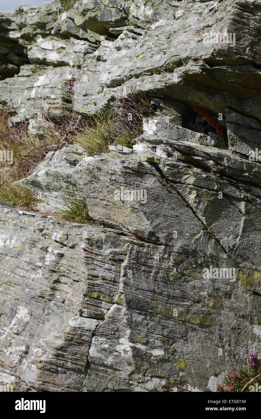 texture rocks mountain cracks hill with color shades Grey black white ...