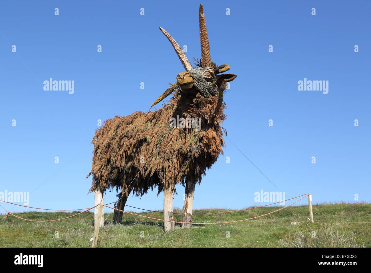 statues of manx sheep at the bungalow on the TT course on the isle of ...