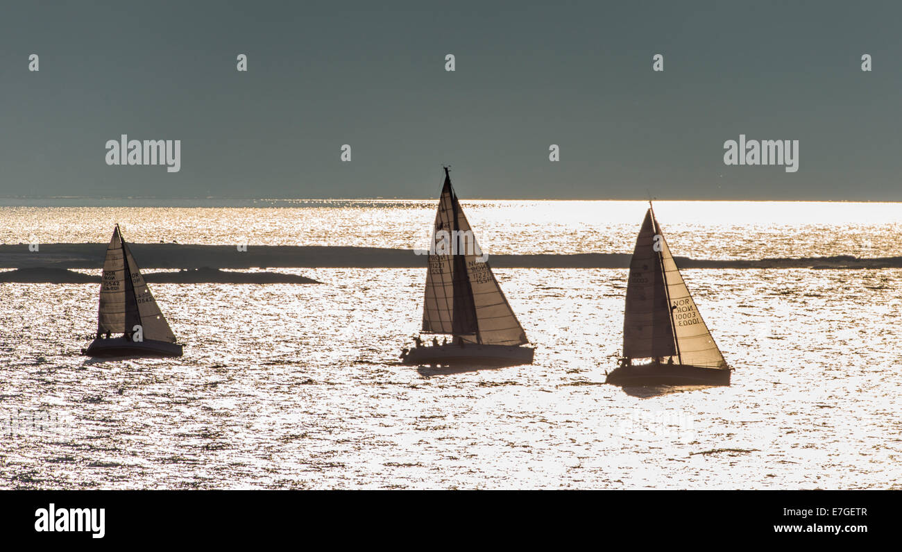 sailing regatta backlit Stock Photo - Alamy